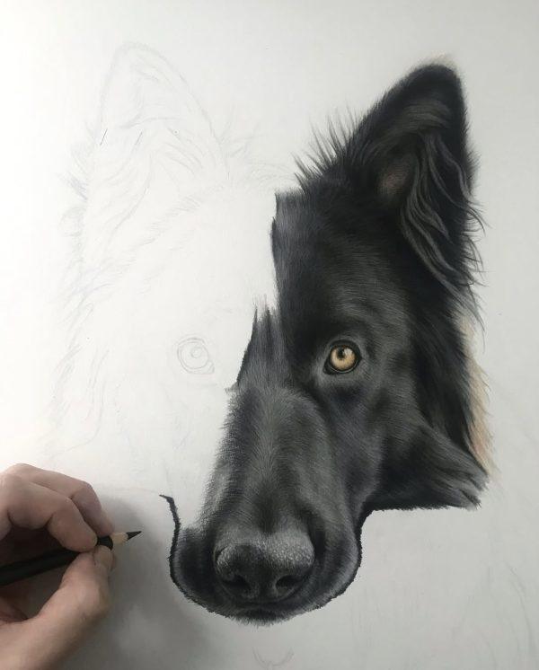 Scott Edwards - Daler-Rowney